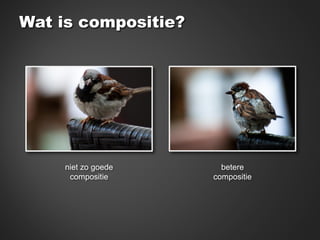 Compositie | PDF