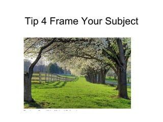 Composition, some basic rules of photography | PPT