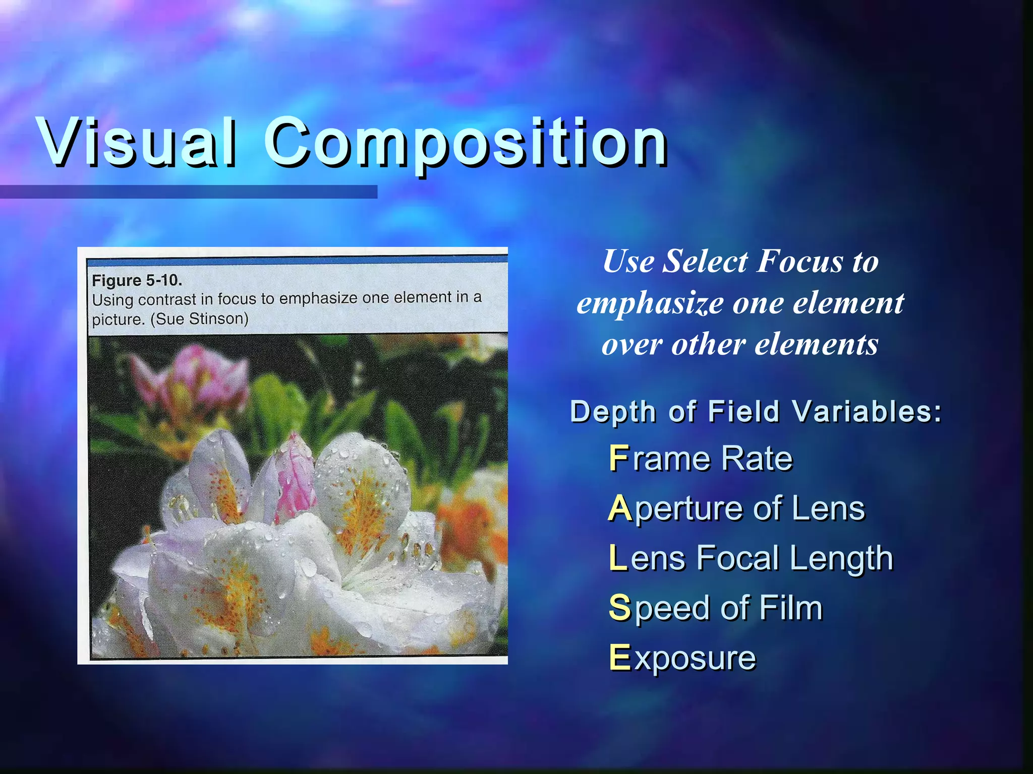 Visual Composition | PPT
