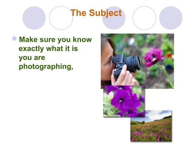 Picture Composition.. | PPT