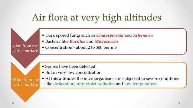 Composition and Distribution of Air.pptx