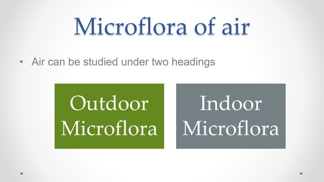 Composition and Distribution of Air.pptx