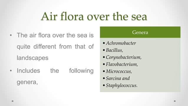 Composition and Distribution of Air.pptx
