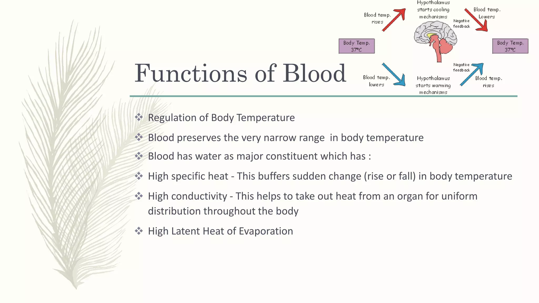 Composition and Function of Blood | PPTX