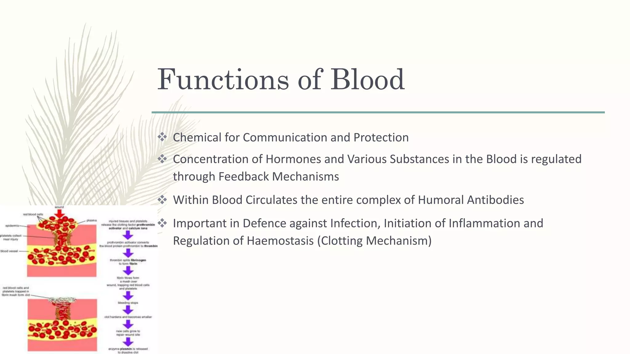 Composition and Function of Blood | PPTX