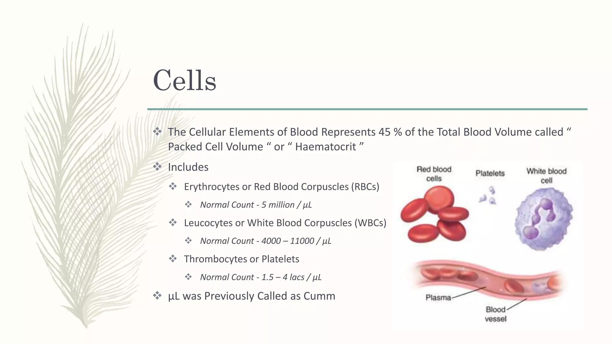 Composition and Function of Blood | PPTX