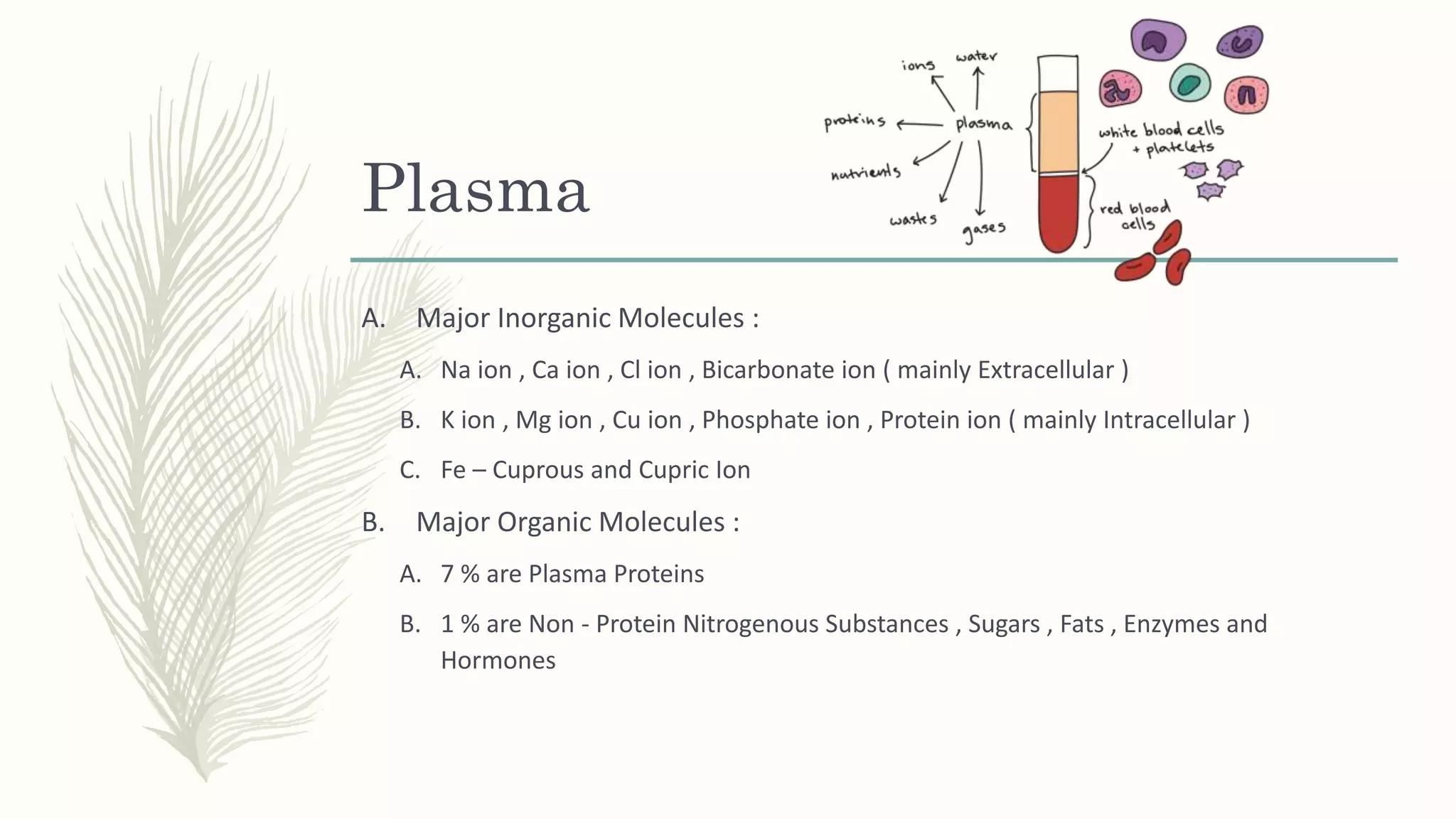 Composition and Function of Blood | PPTX