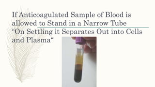 Composition and Function of Blood | PPTX