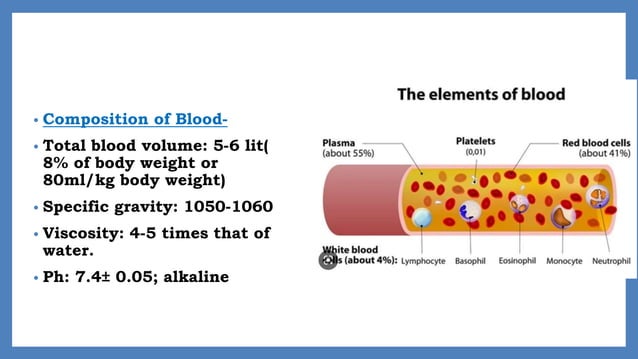 composition and function of blood.pptx | Blood Disorders | Diseases and Conditions