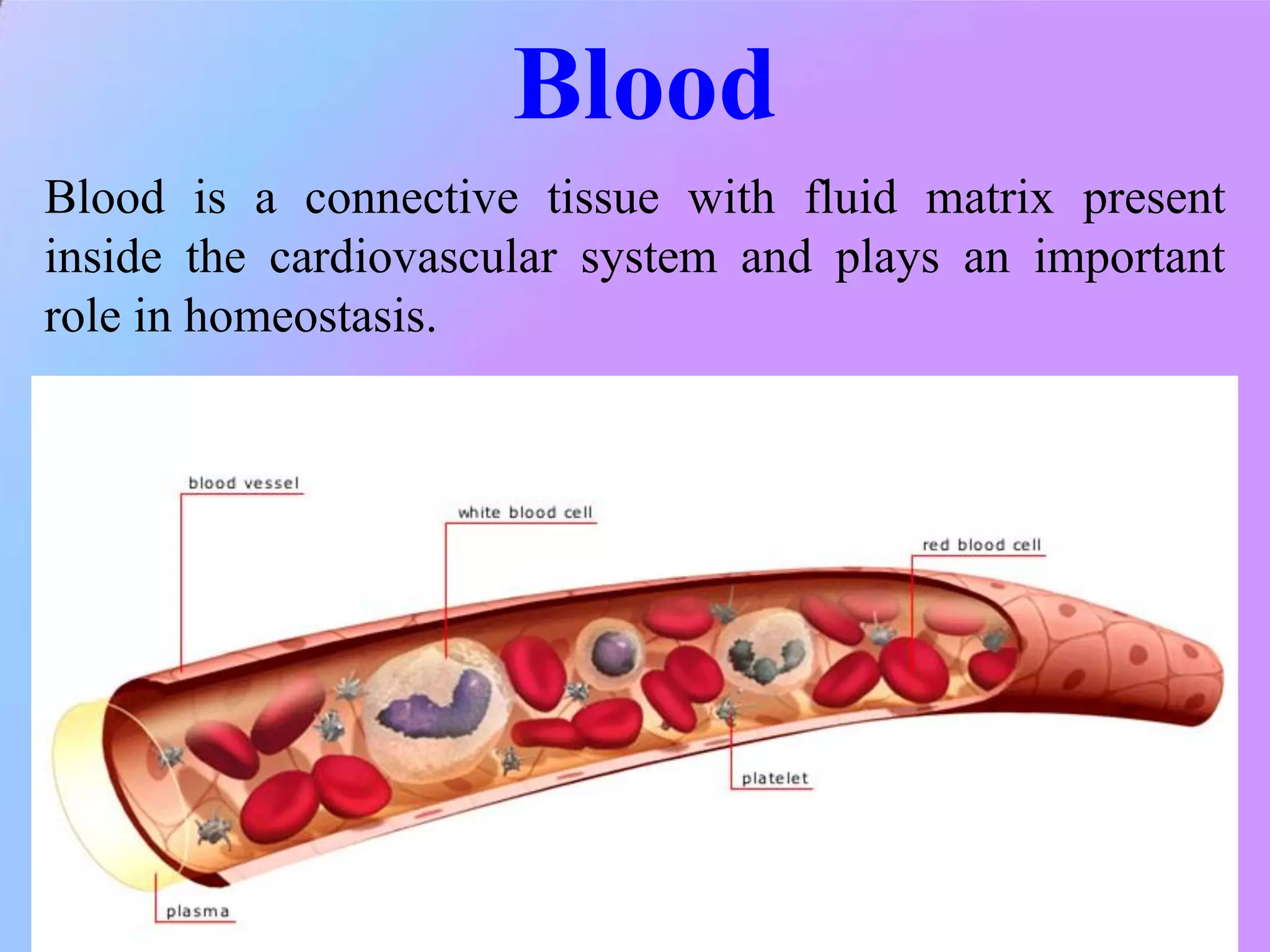 composition and functions of blood.pdf