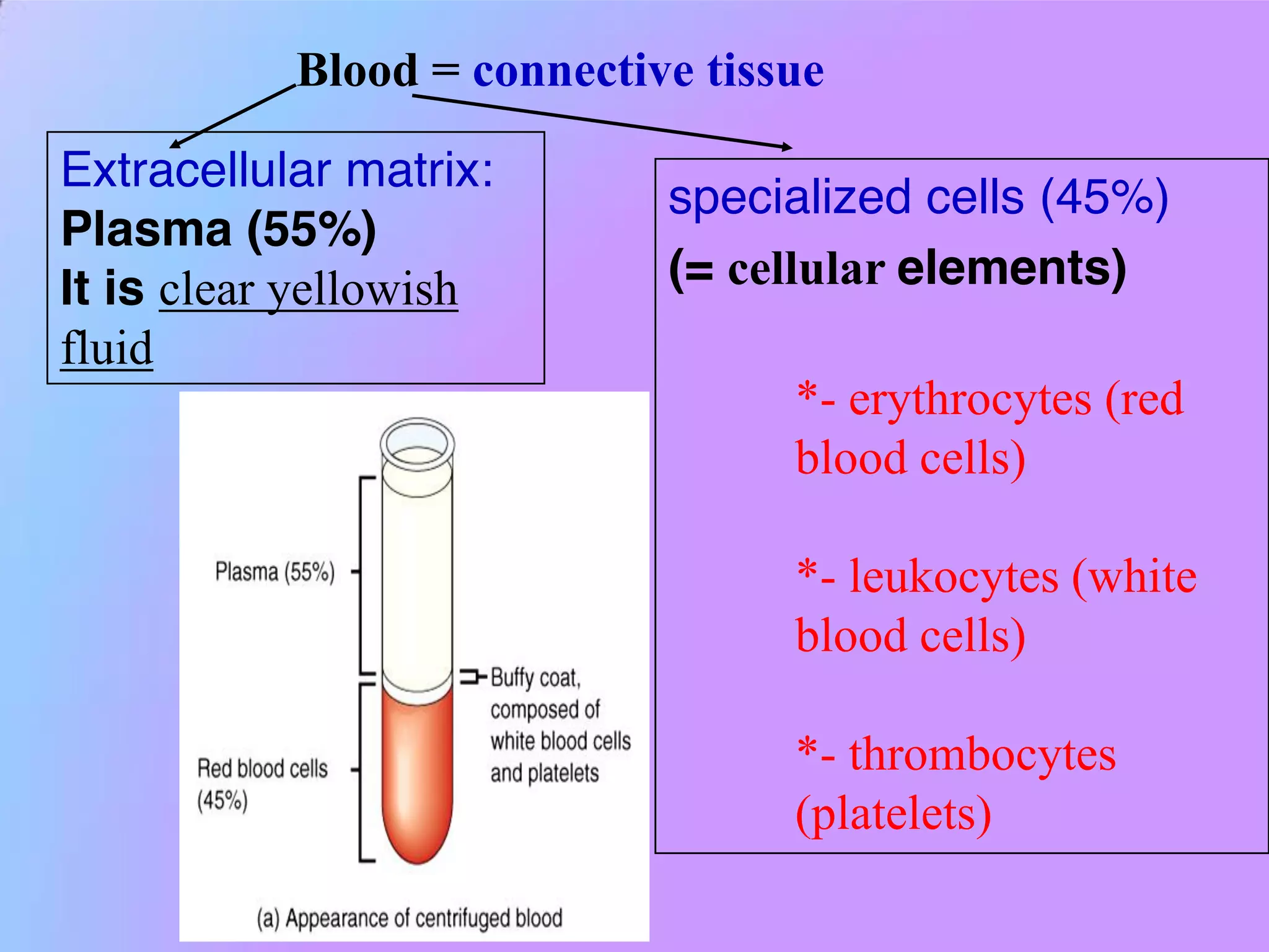composition and functions of blood.pdf