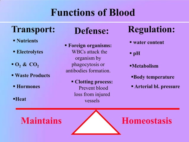 composition and functions of blood.pdf | Free Download