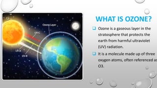 Composition and Structure of the Atmosphere Grade 10 Term 1.pdf