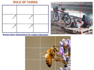 Composition and the rule of thirds | PPT