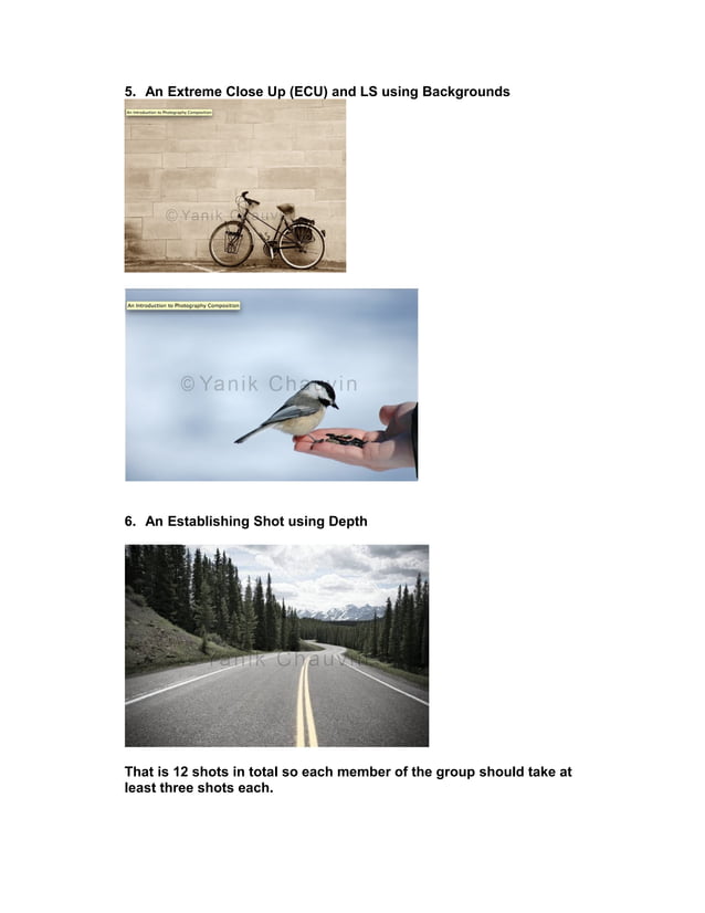 Shot Composition Activity | PDF