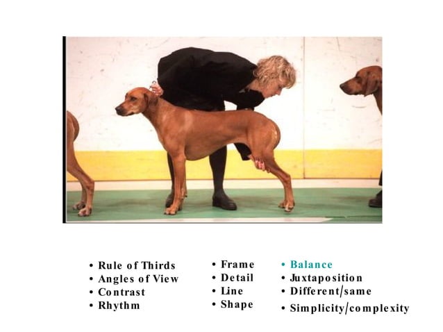 Visual Composition | PPT