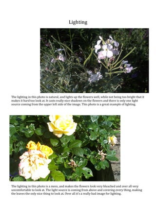 Composition focus lighting | PDF | Photography | Arts and Crafts