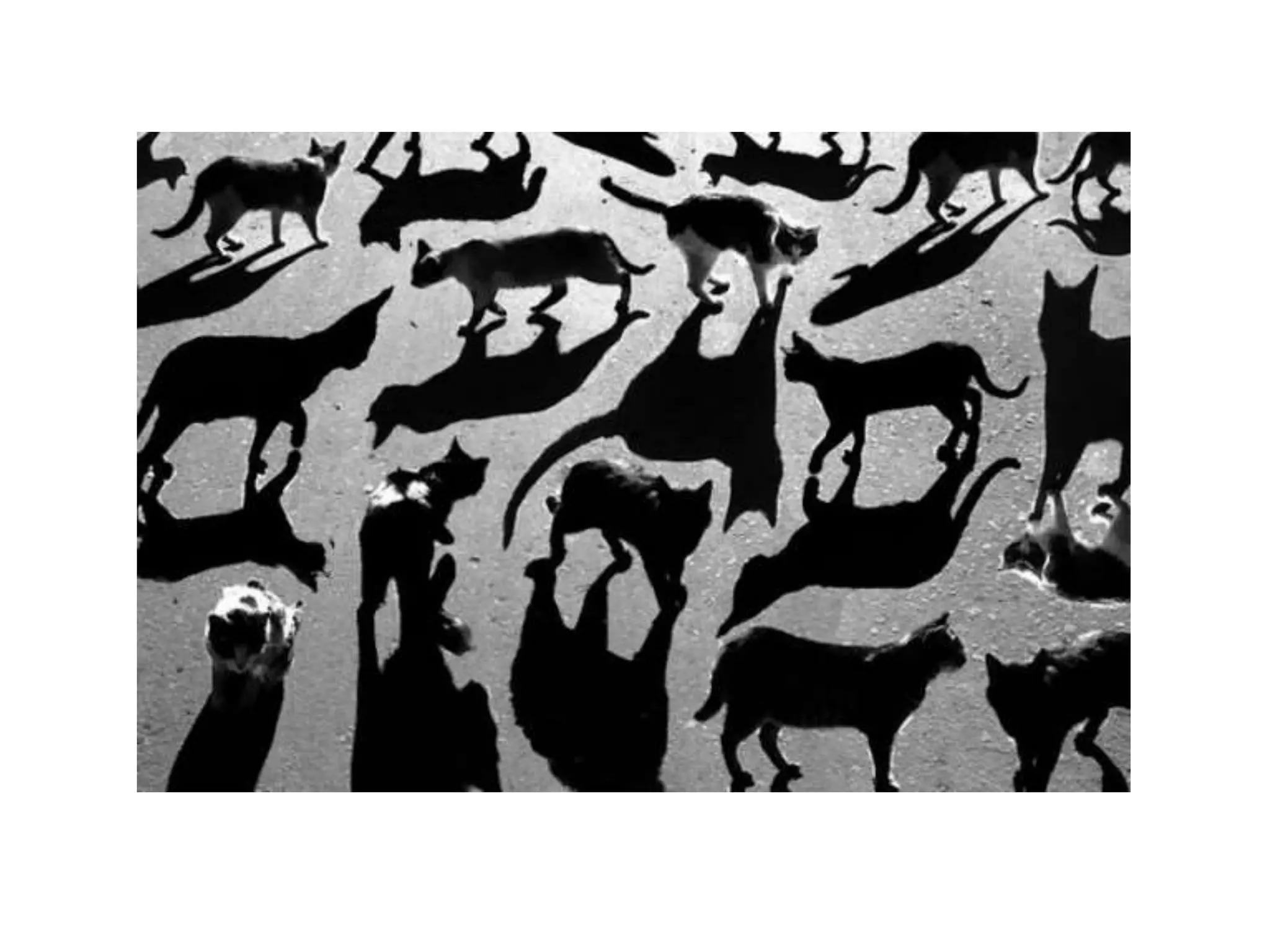 Composition fundamentals | PPT