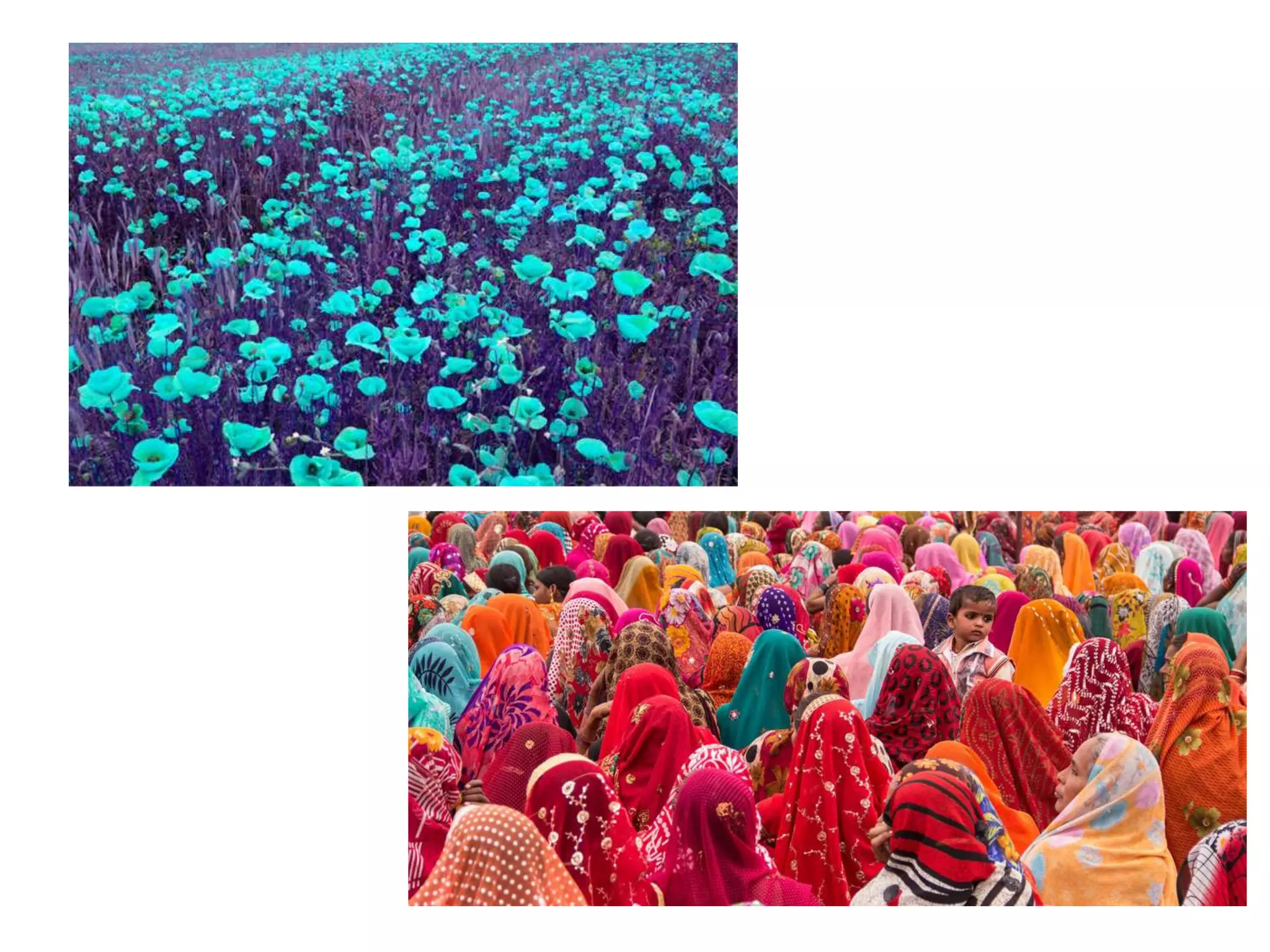 Composition fundamentals | PPT