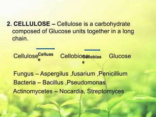 bio-degradation of organic matter | PPTX