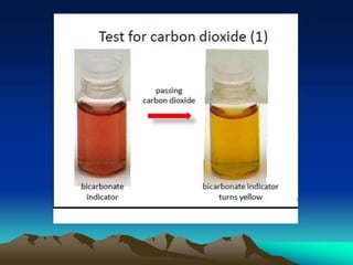Composition of air | PPT