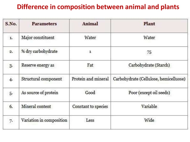 Composition of Animal & Plants Body slide share.pptx