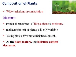 Composition of Animal & Plants Body slide share.pptx