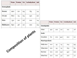 Composition of Animal & Plants Body slide share.pptx