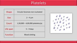 Blood Composiotion Blood Physiology | PPTX