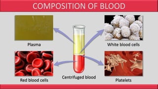 Blood Composiotion Blood Physiology | PPTX