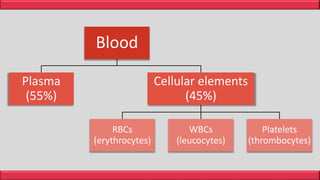 Blood Composiotion Blood Physiology | PPTX