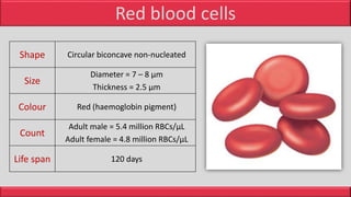 Blood Composiotion Blood Physiology | PPTX
