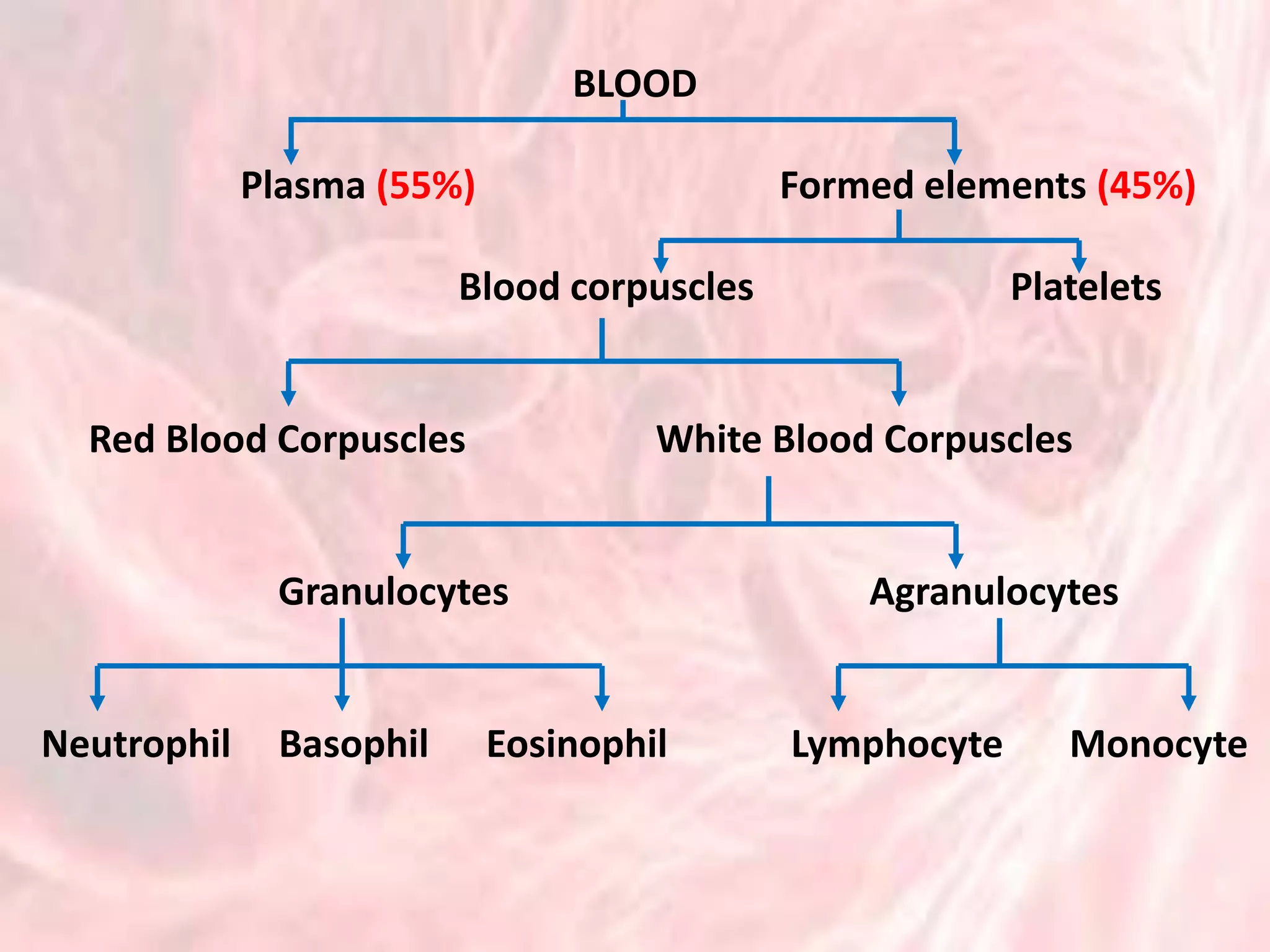 Composition of blood | PPTX