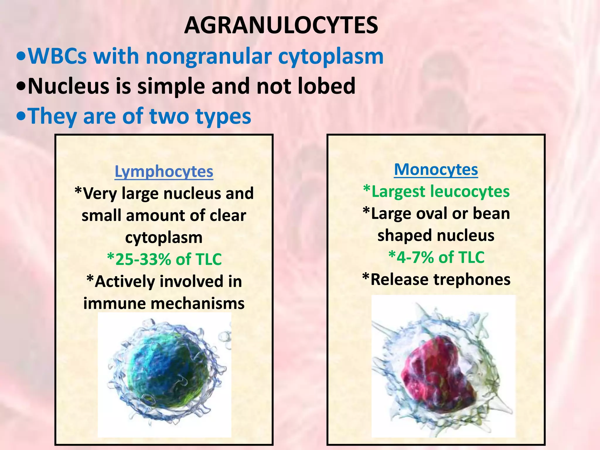 Composition of blood | PPTX