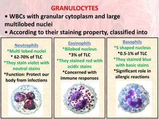 Composition of blood | PPTX