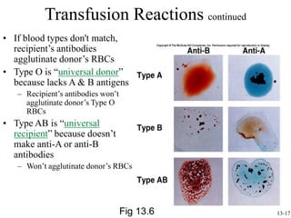 Composition of blood.ppt