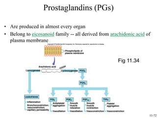 Composition of blood.ppt