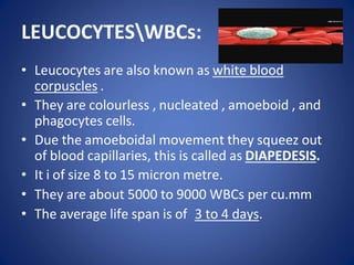 Composition of Blood.pptbshge sbhs ebehben | PPT | Blood Disorders ...