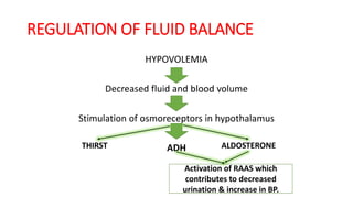 COMPOSITION OF BODY FLUIDS & MECHANISMS.pptx | Chemistry | Science