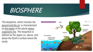 Components Of Environment - FOUR SPHERES OF EARTH | PPTX