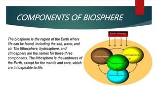 Components Of Environment - FOUR SPHERES OF EARTH | PPTX