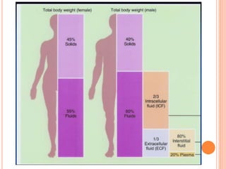 Composition of Human Body _ Body Fluids and Electrolytes.pptx