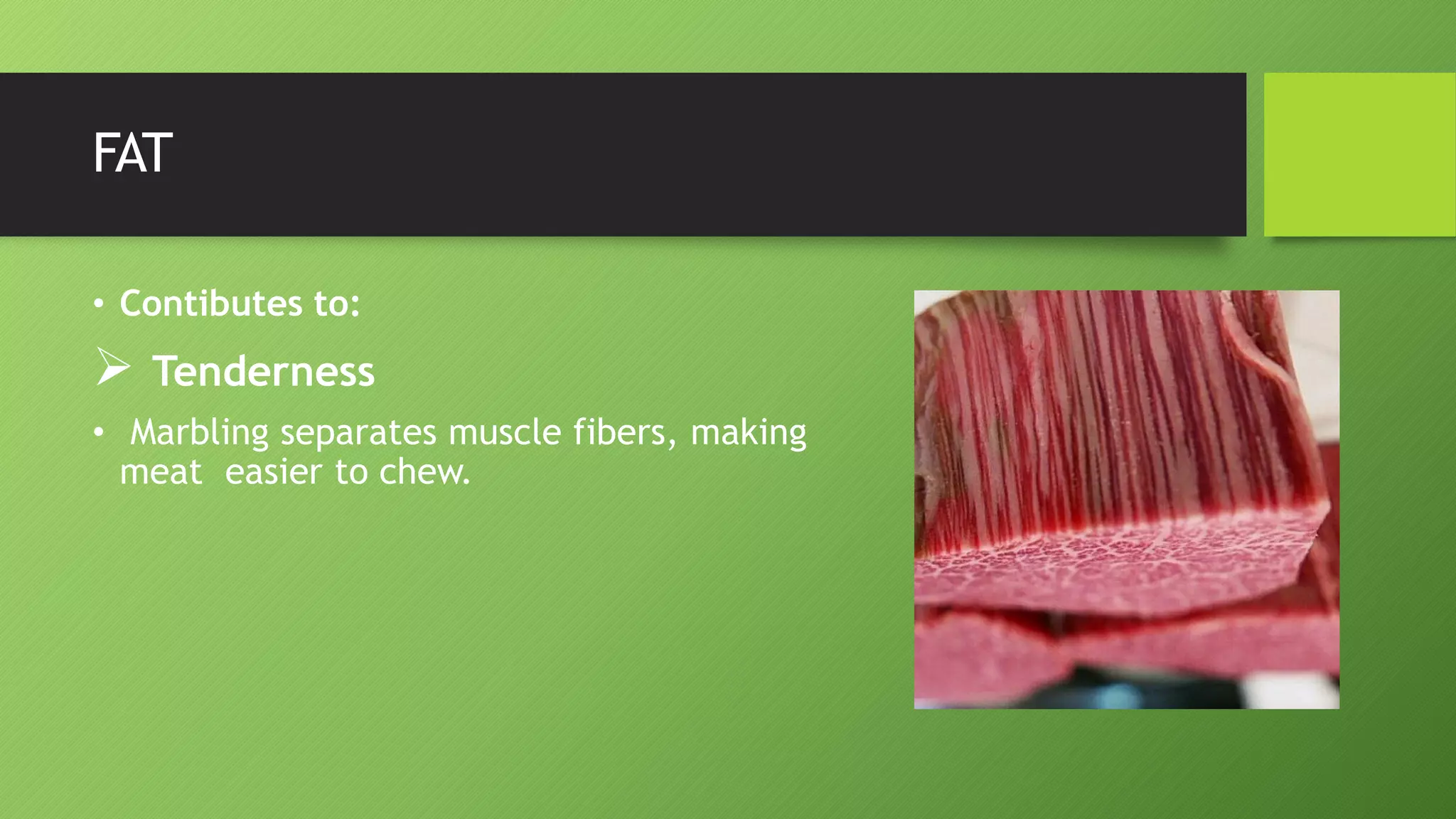 Composition of meat | PDF