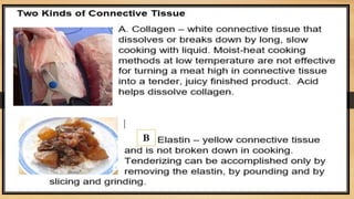 COMPOSITION OF MEAT and its their structure | PPTX