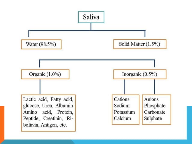 Composition of saliva