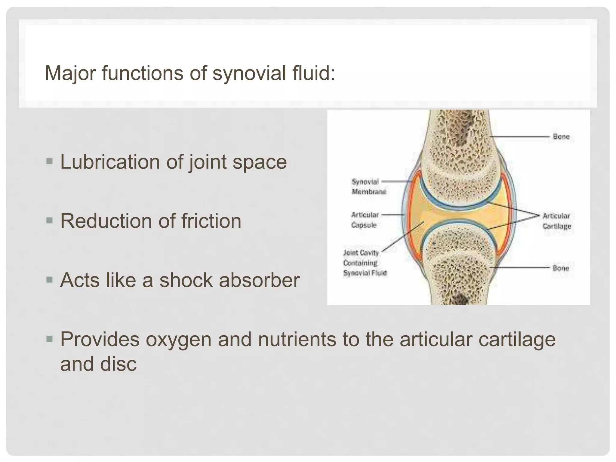 Composition of synovial fluid and mechanism of joint lubrication | PPT