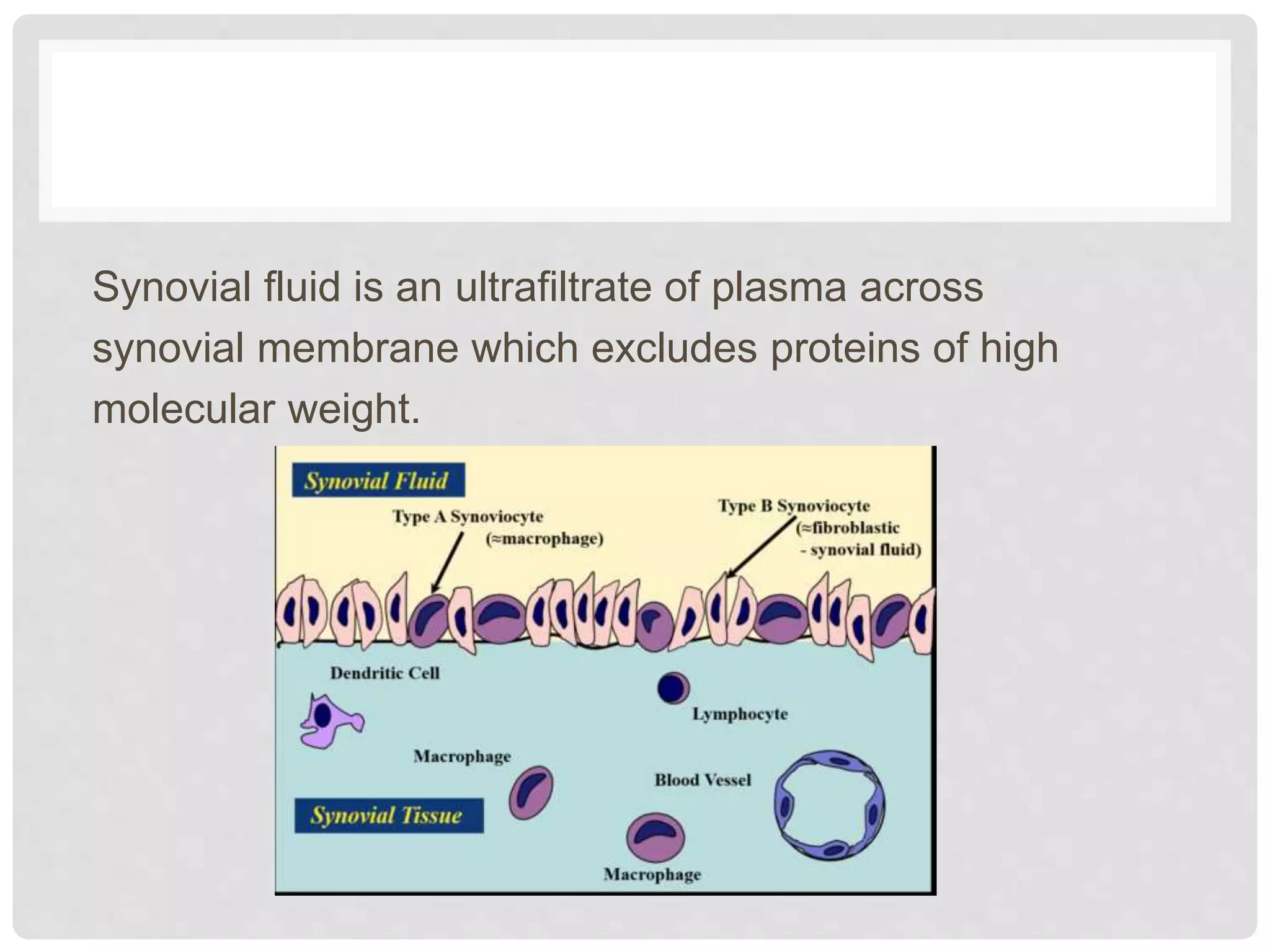 Composition of synovial fluid and mechanism of joint lubrication | PPT