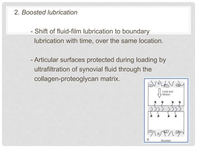 Composition of synovial fluid and mechanism of joint lubrication | PPT