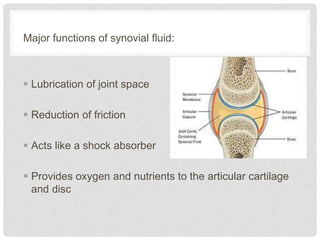Composition of synovial fluid and mechanism of joint lubrication | PPTX
