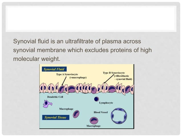 Composition of synovial fluid and mechanism of joint lubrication | PPT